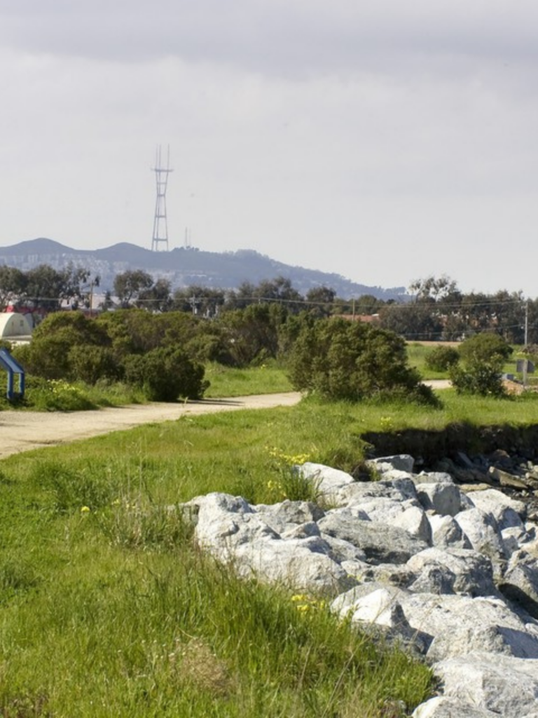 Bayview | San Francisco Probates