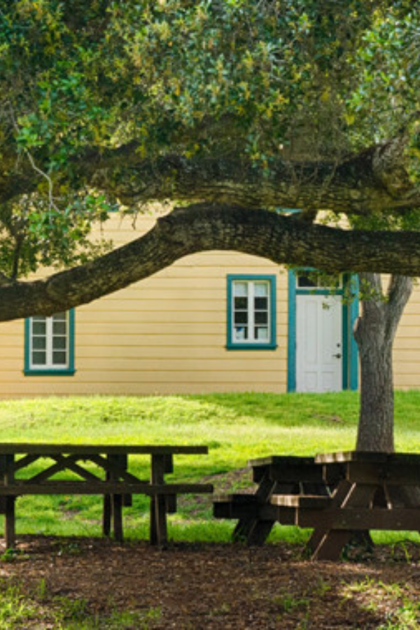 Novato | San Francisco Probates